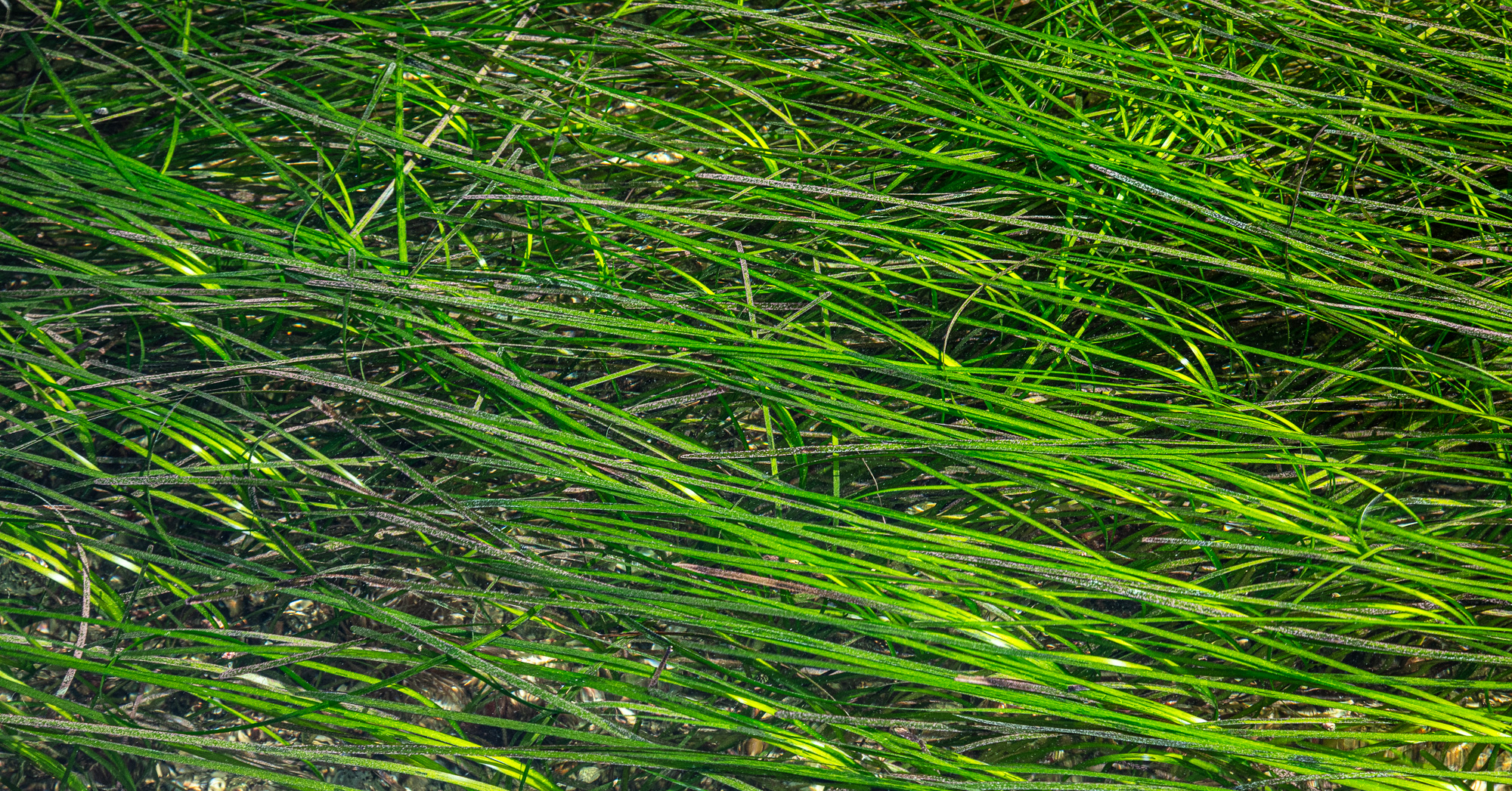 Letter regarding the Marine Spatial Plan – Jonathan Renouf